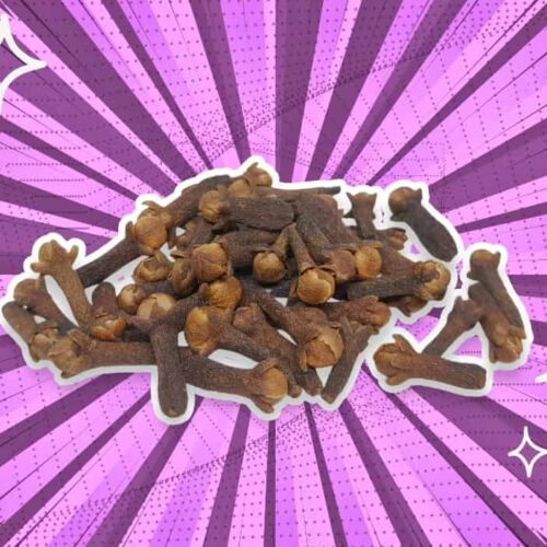 Spice It Up: 6 Clove Substitutes for Flavorful Cooking [2026]