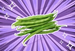 7 Easy Green Beans Substitutes to Mix Up Your Meals [2026]