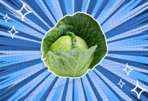 7 Fresh Substitutes for Lettuce: Spice Up Your Salads [2026]