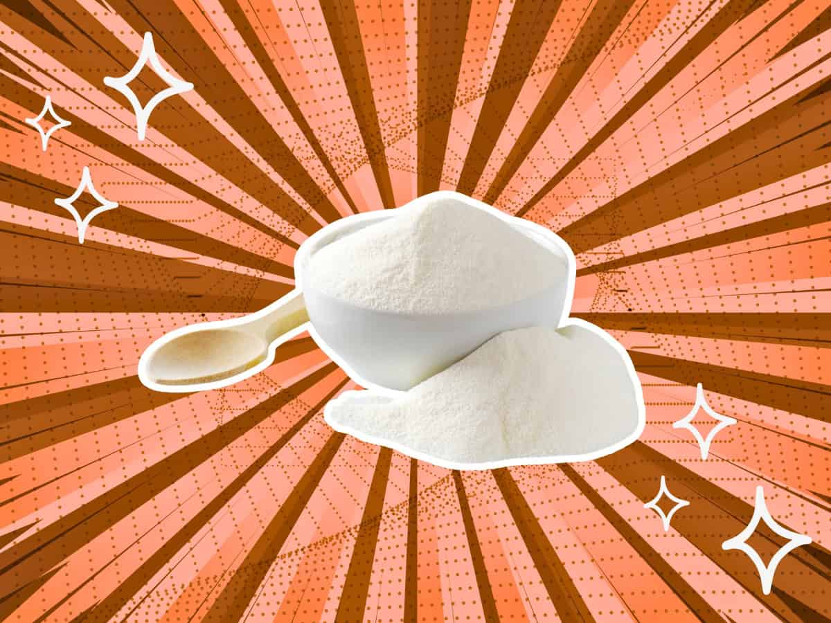 6 Easy Milk Powder Substitutes: Bake with Passion [2025]