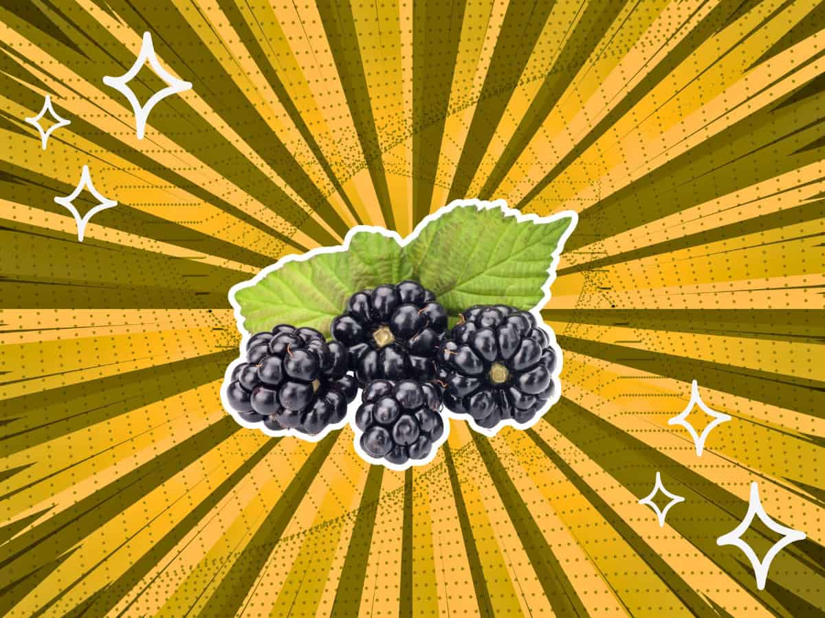 6 Blackberries Substitutes: Upgrade the Recipes [2025]