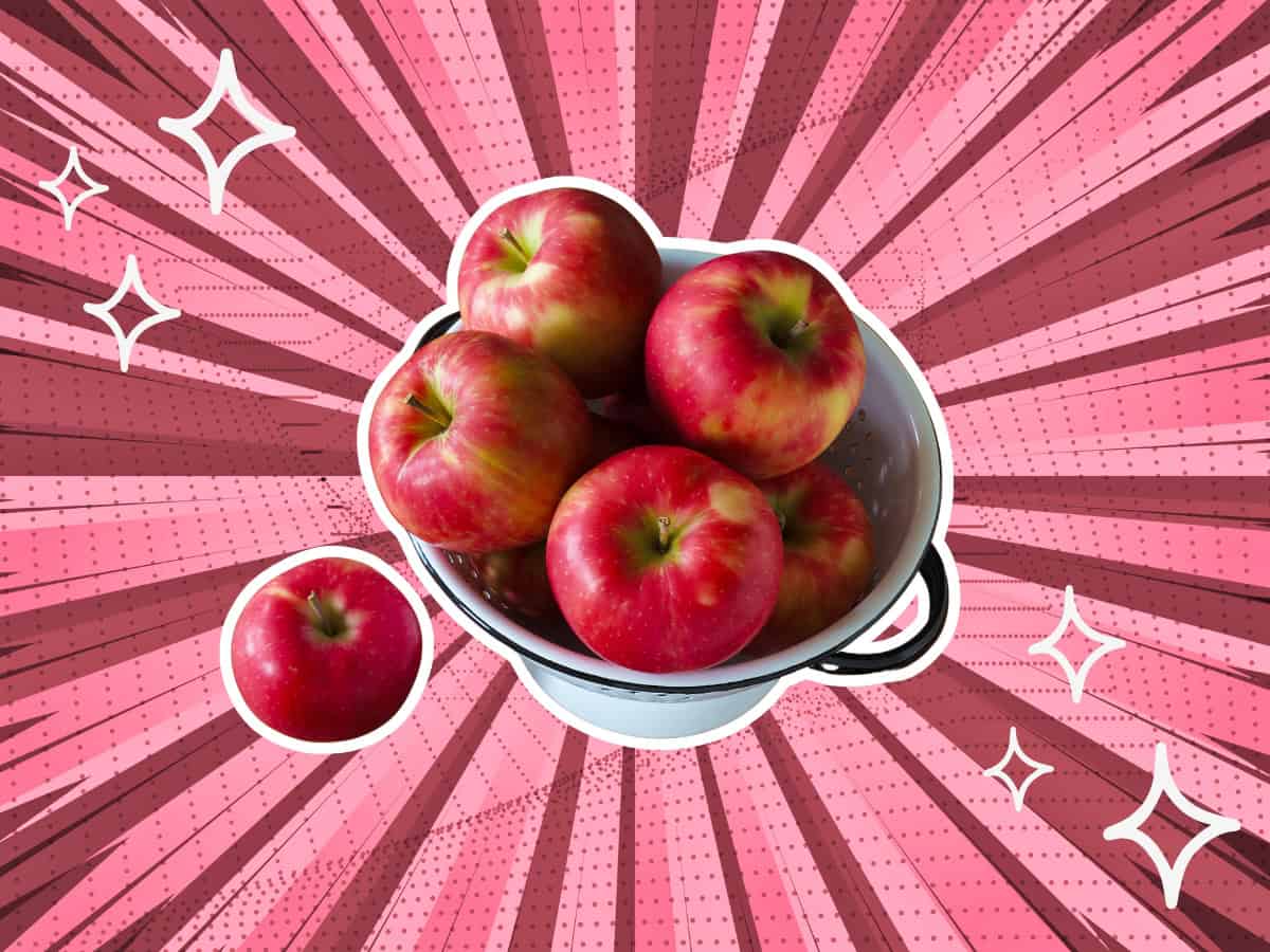 6 Honeycrisp Apple Substitutes: Sweet and Crunchy [2025]