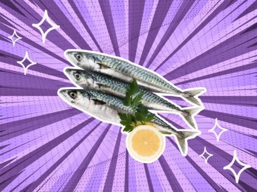 7 Top Mackerel Substitutes: Intensify the Taste [2026]