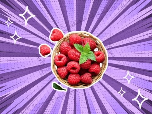 5 Raspberries Substitutes: Spice Up Recipes [2026]