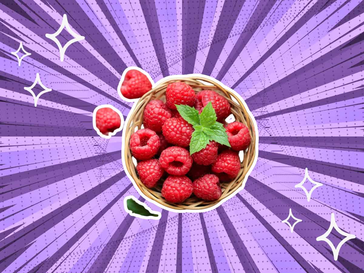 5 Raspberries Substitutes: Spice Up Recipes [2025]