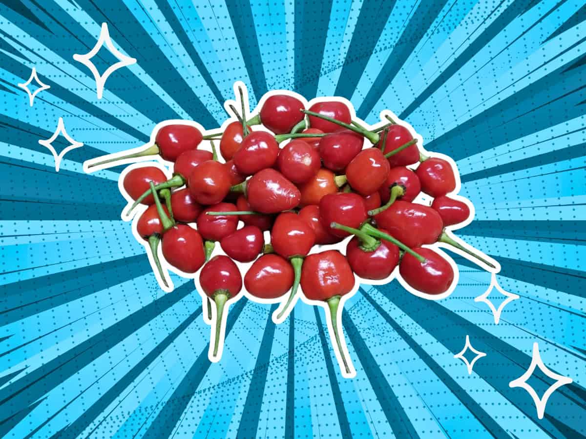 7 Easy Wiri Wiri Pepper Substitutes: Spice Up Recipes [2026]