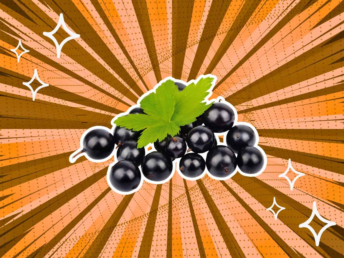 7 Currant Substitutes: Punch up Flavors [2025]