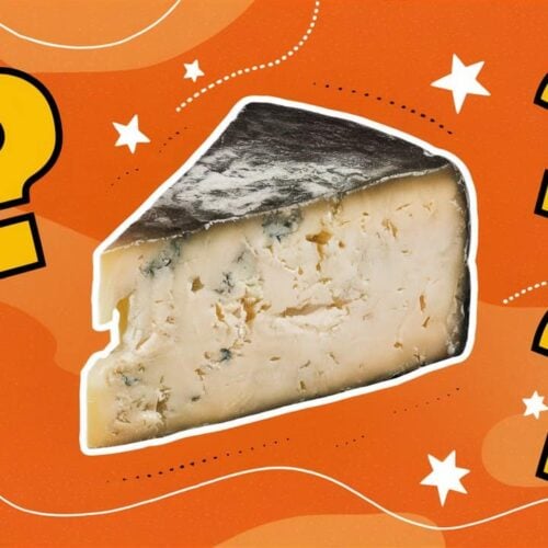 What is Asiago Cheese? A Guide to the Italian Favorite [2026]