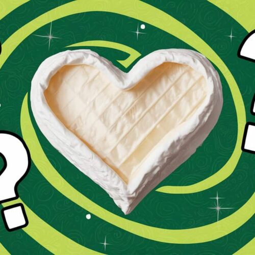 What is Neufchâtel Cheese? Learn About the French Delight